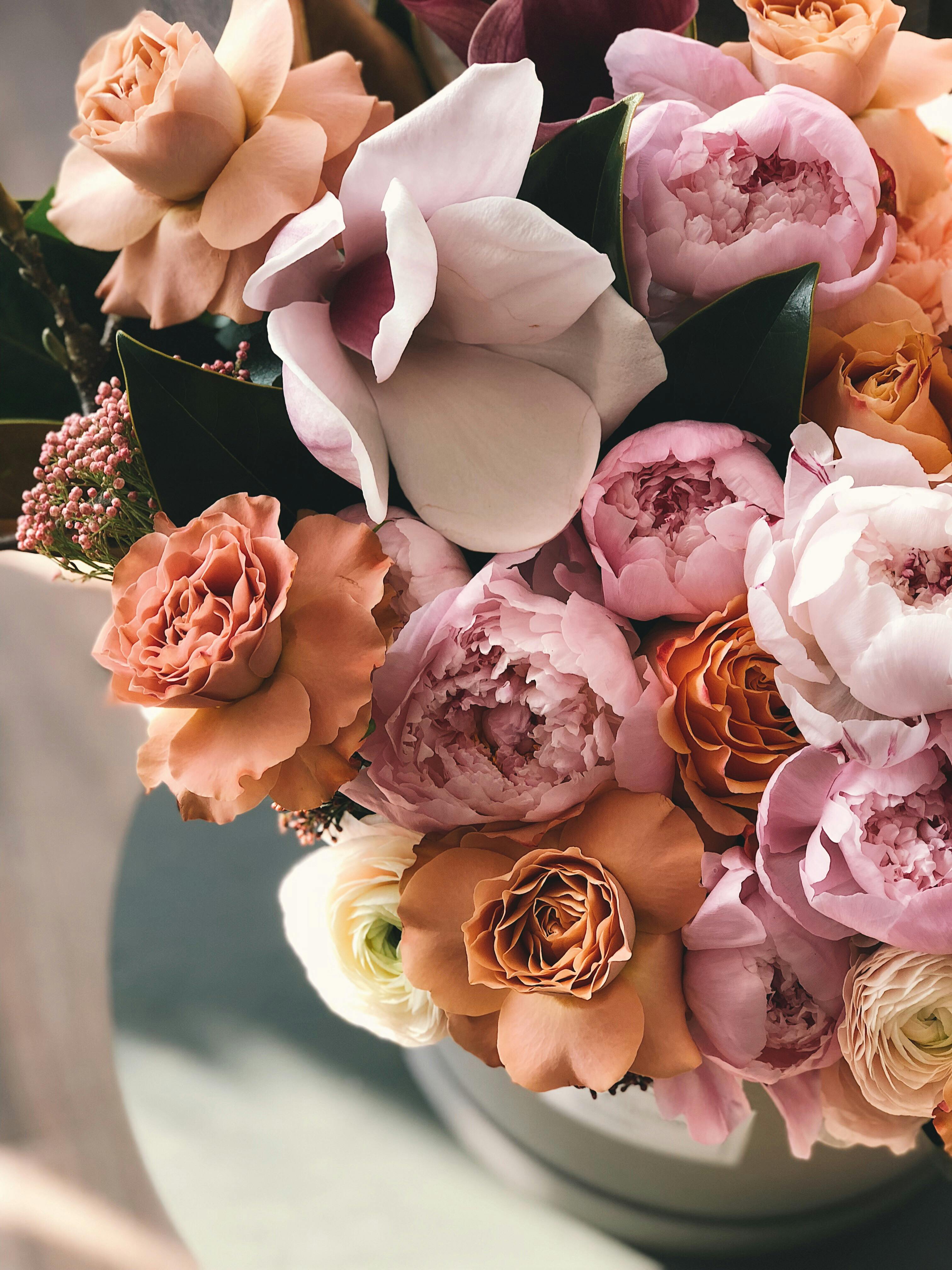 News – floralmerchandisingsystemstest